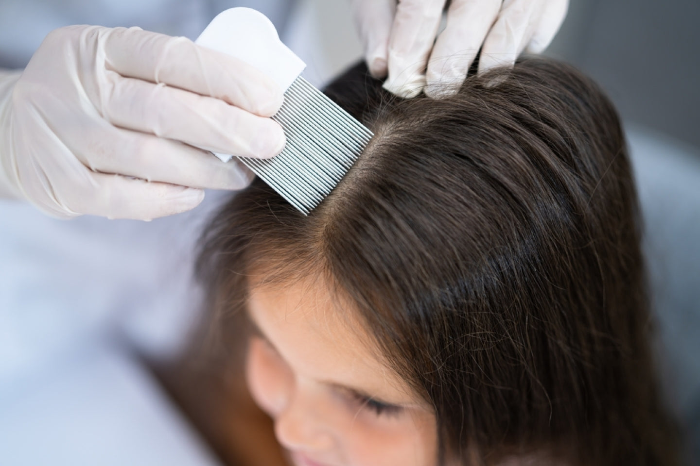 Lice Prevention Treatment N O S Barber Supply