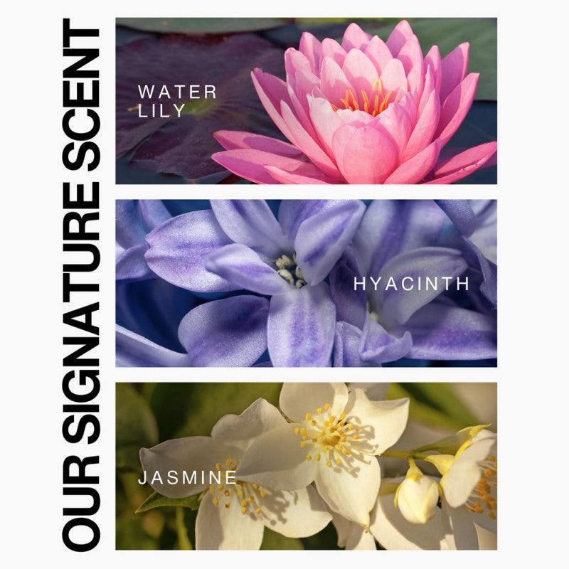 LASIO HYPERSILK REVITALIZING MASQUE – N.O.S. Barber Supply